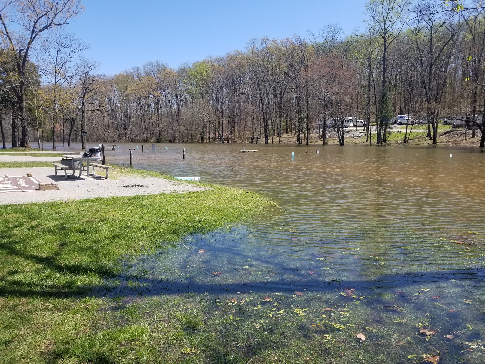 Fairview - Tims Ford State Park - Pictures, Features & Amenities ...