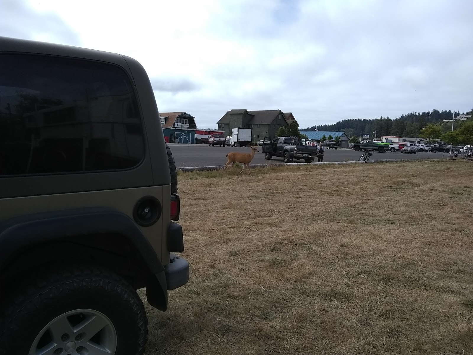 Beacon Charters and RV Park - Pictures, Features & Amenities | RVezy ...