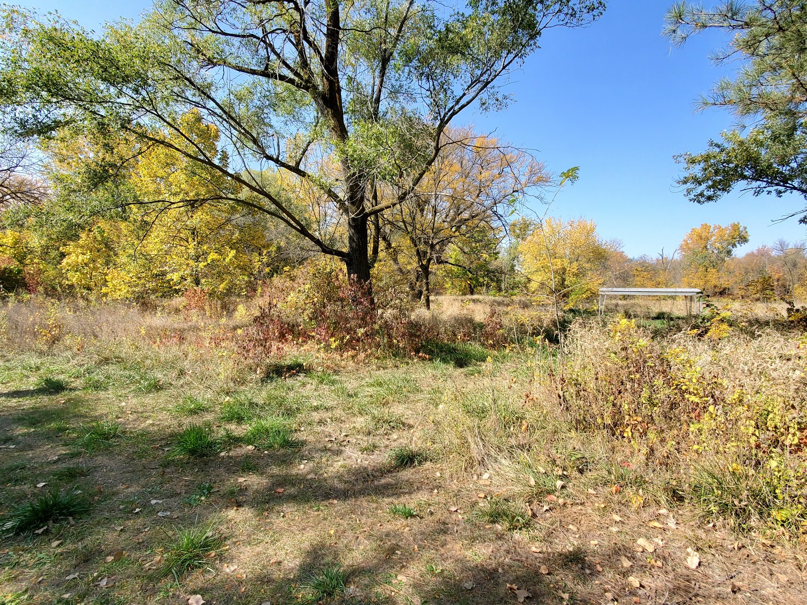 Dead Timber State Recreation Area - Photos, caractéristiques et ...