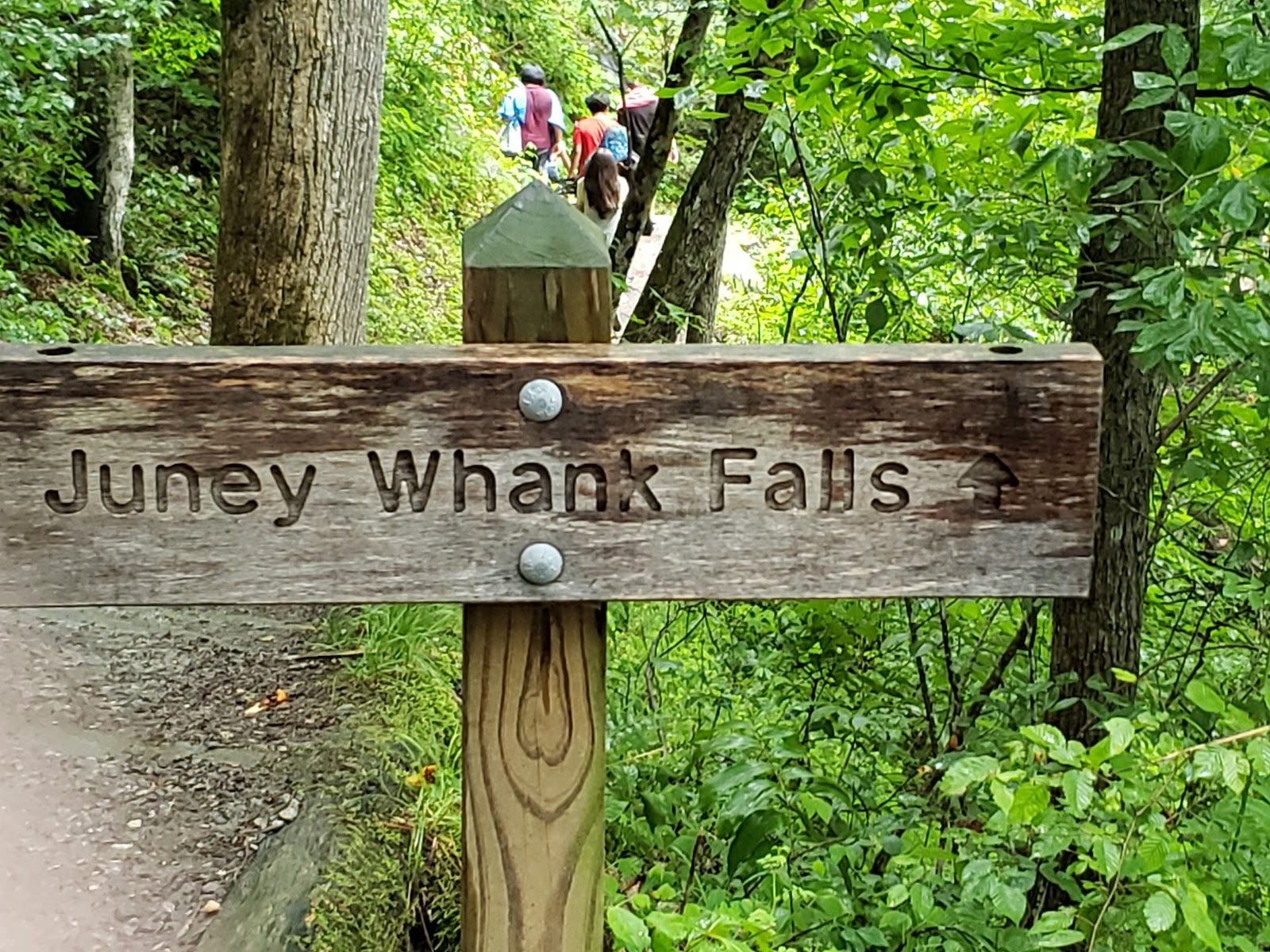 Deep Creek Campground - Great Smoky Mountains National Park - Pictures ...