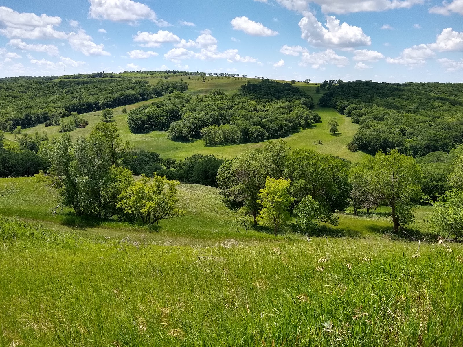 Westside - Fort Ransom State Park - Pictures, Features & Amenities ...