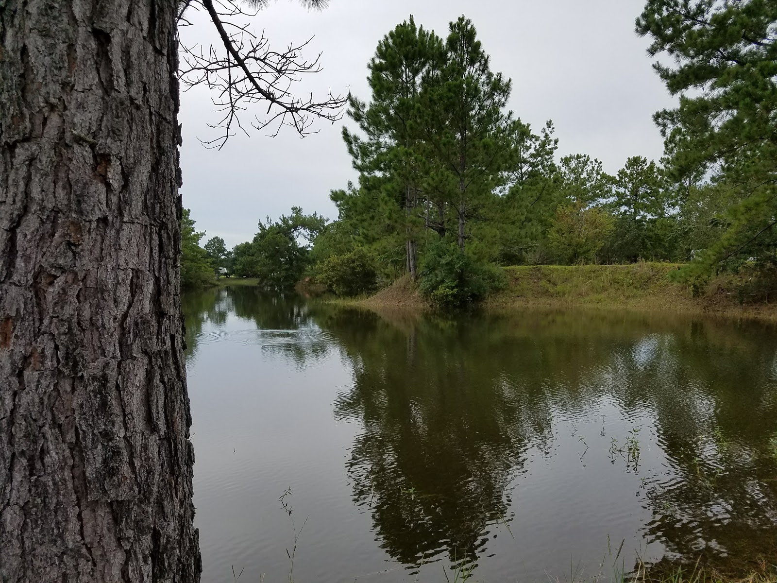 Lazy Lake RV Park - Pictures, Features & Amenities | RVezy Campgrounds