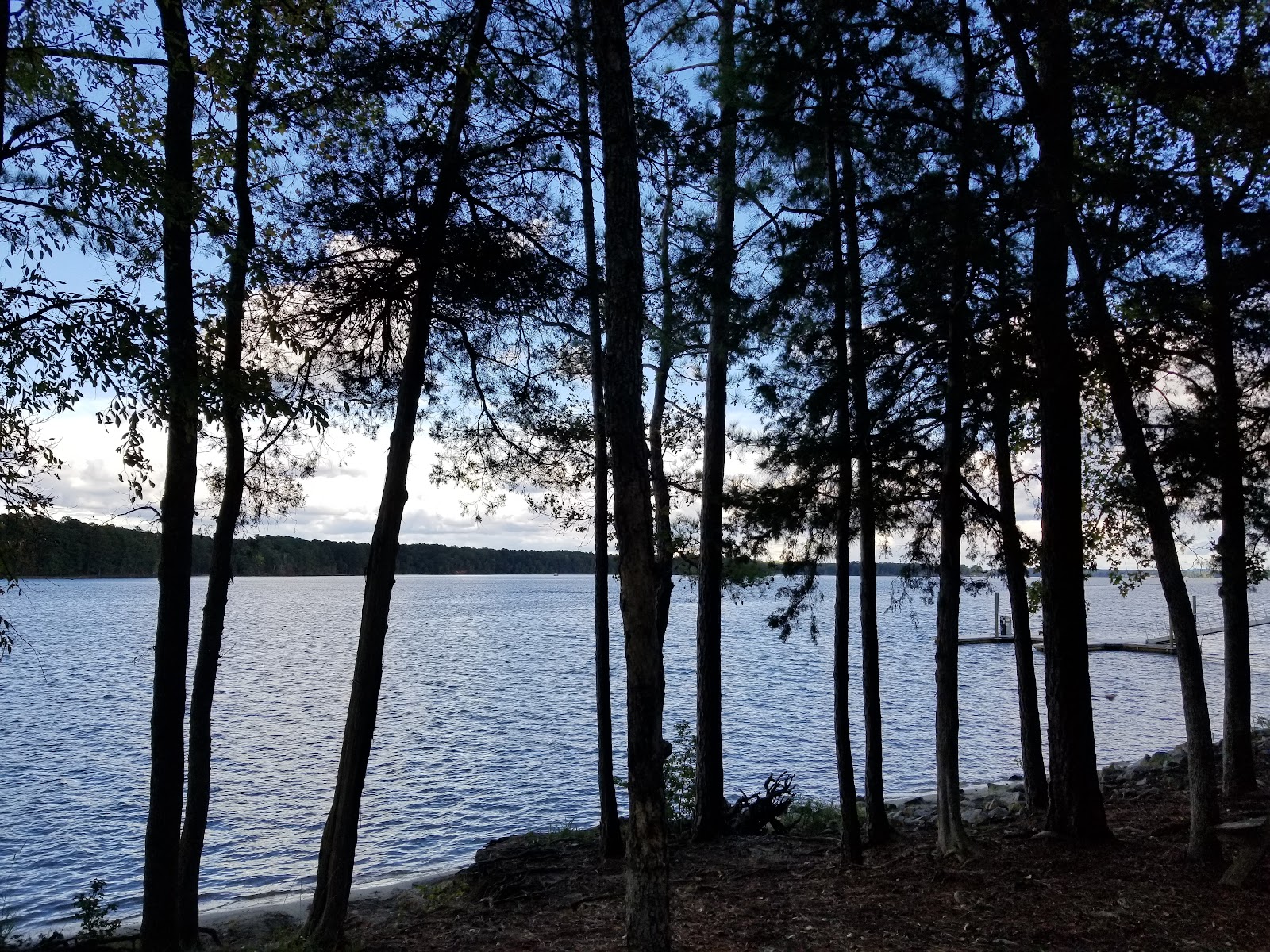 Lake Wateree State Park - Pictures, Features & Amenities | RVezy ...