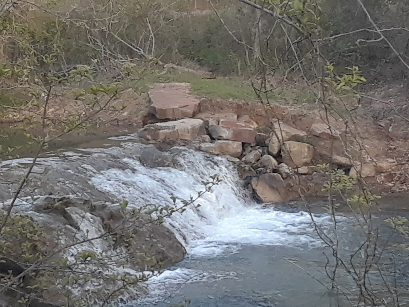 Cedar Blue RV Park - Pictures, Features & Amenities | RVezy Campgrounds