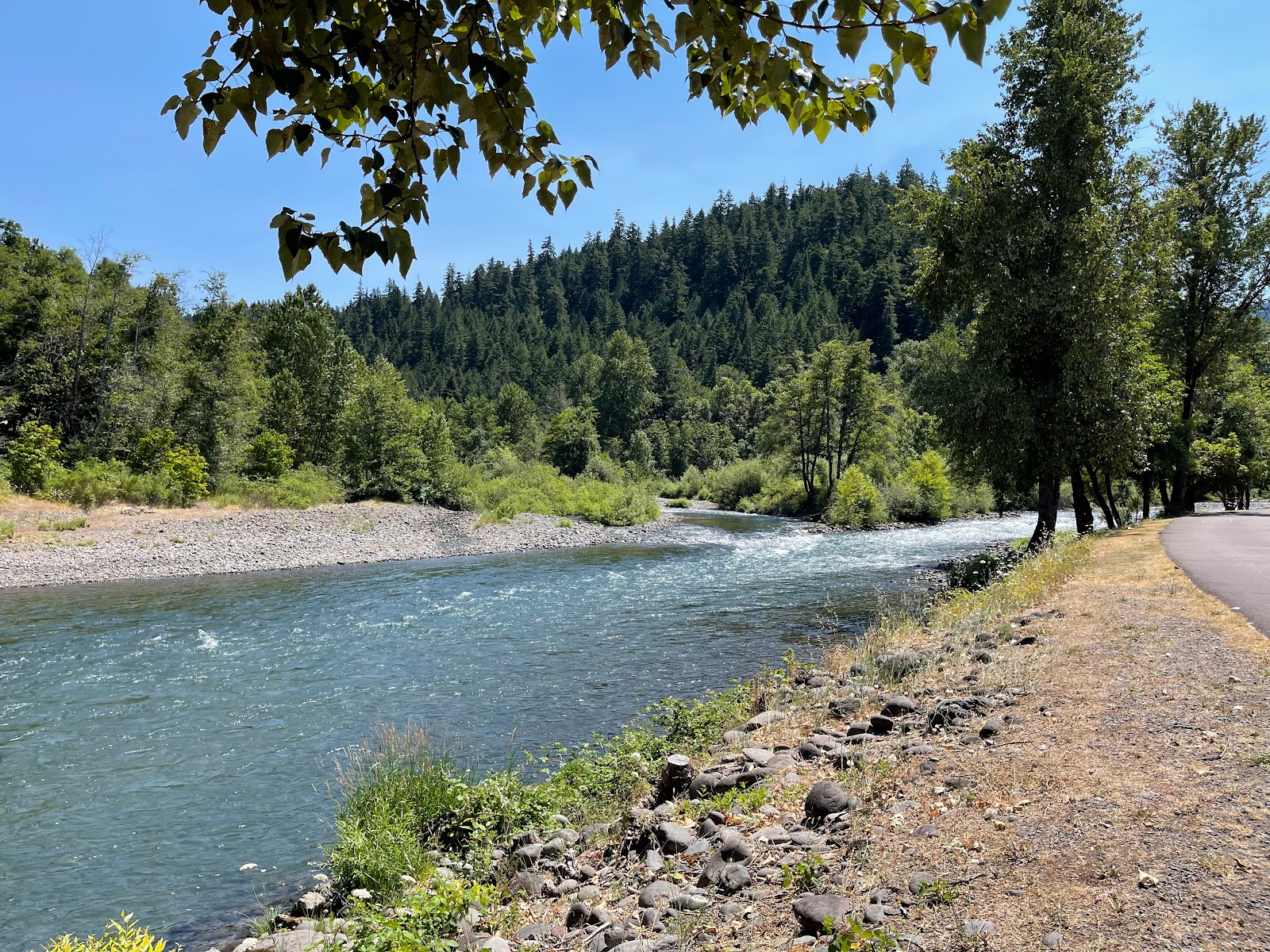 Casey's Riverside RV Park - Pictures, Features & Amenities | RVezy ...