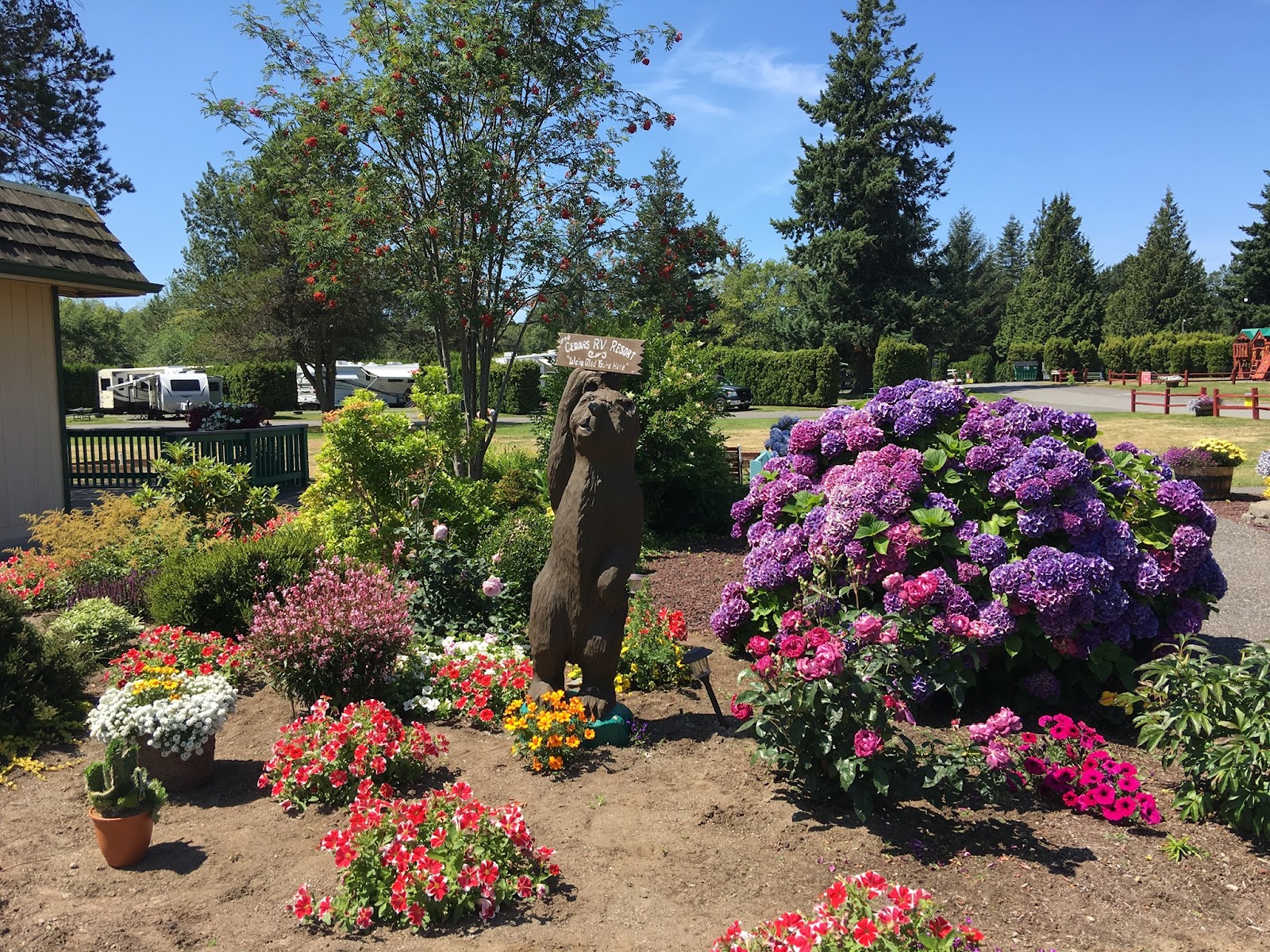 The Cedars RV Resort - Pictures, Features & Amenities | RVezy Campgrounds