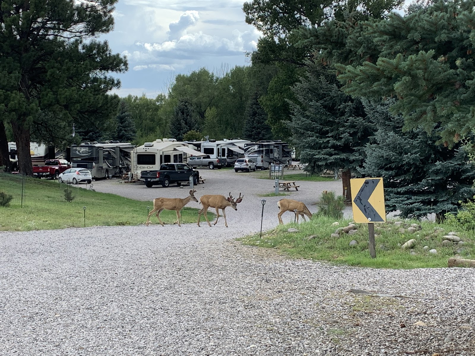 Sky Mountain Resort RV Park - Pictures, Features & Amenities | RVezy ...