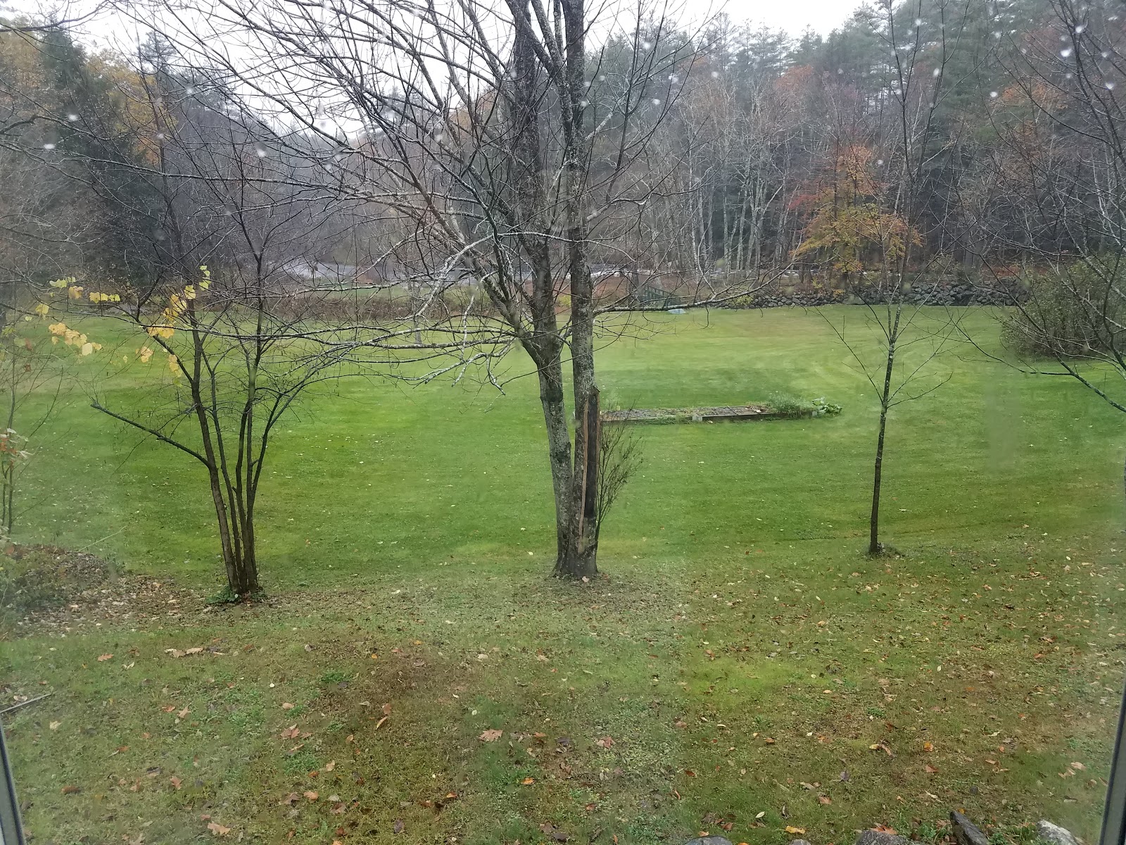 Cozy Pond Camping Resort - Pictures, Features & Amenities | RVezy ...