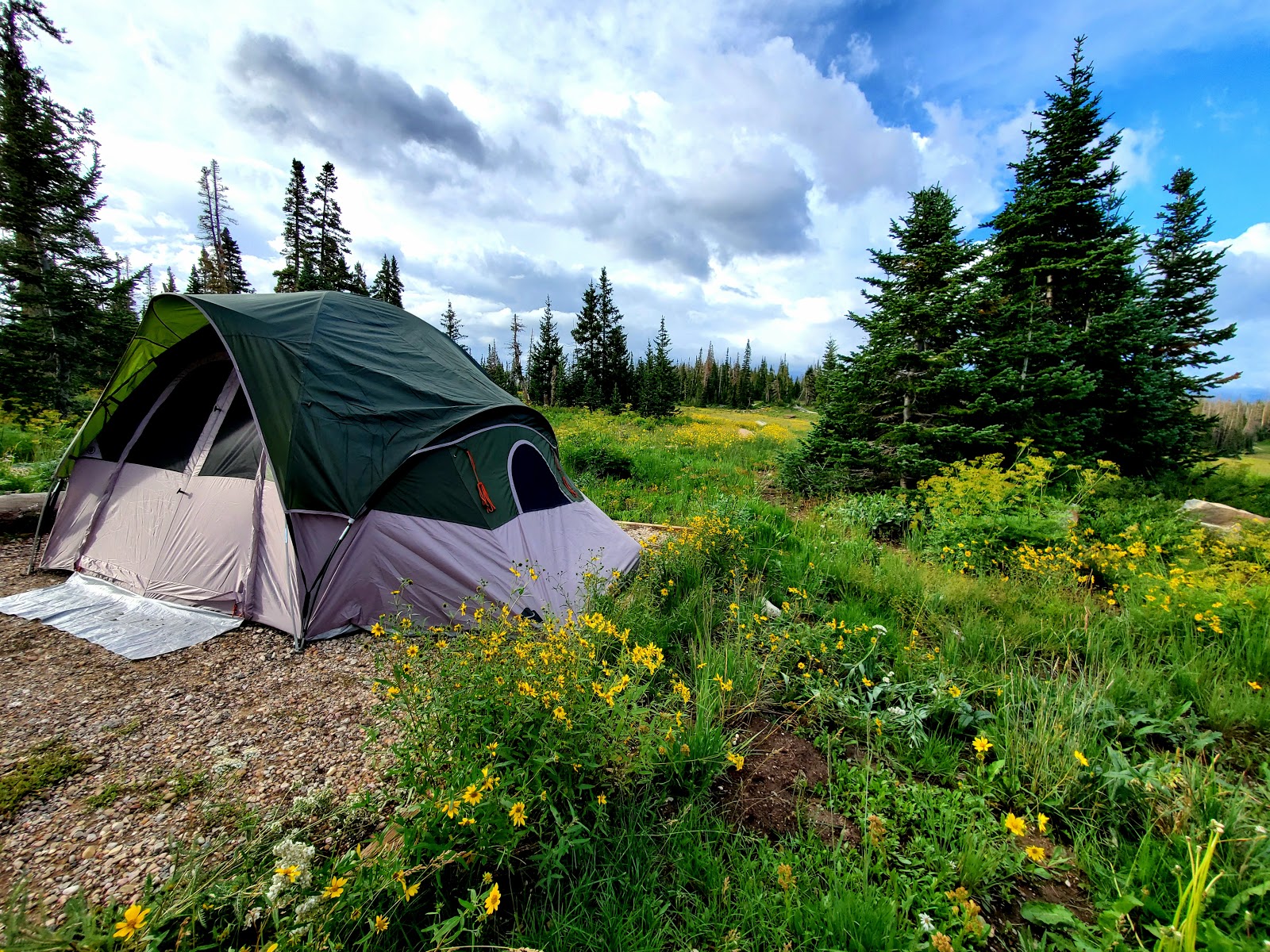 Point Supreme Campground - Cedar Breaks National Monument - Photos ...