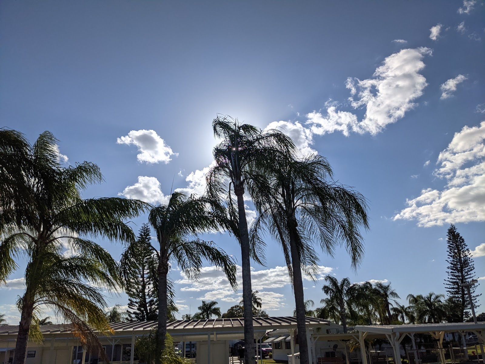 Raintree RV Resort - Pictures, Features & Amenities | RVezy Campgrounds