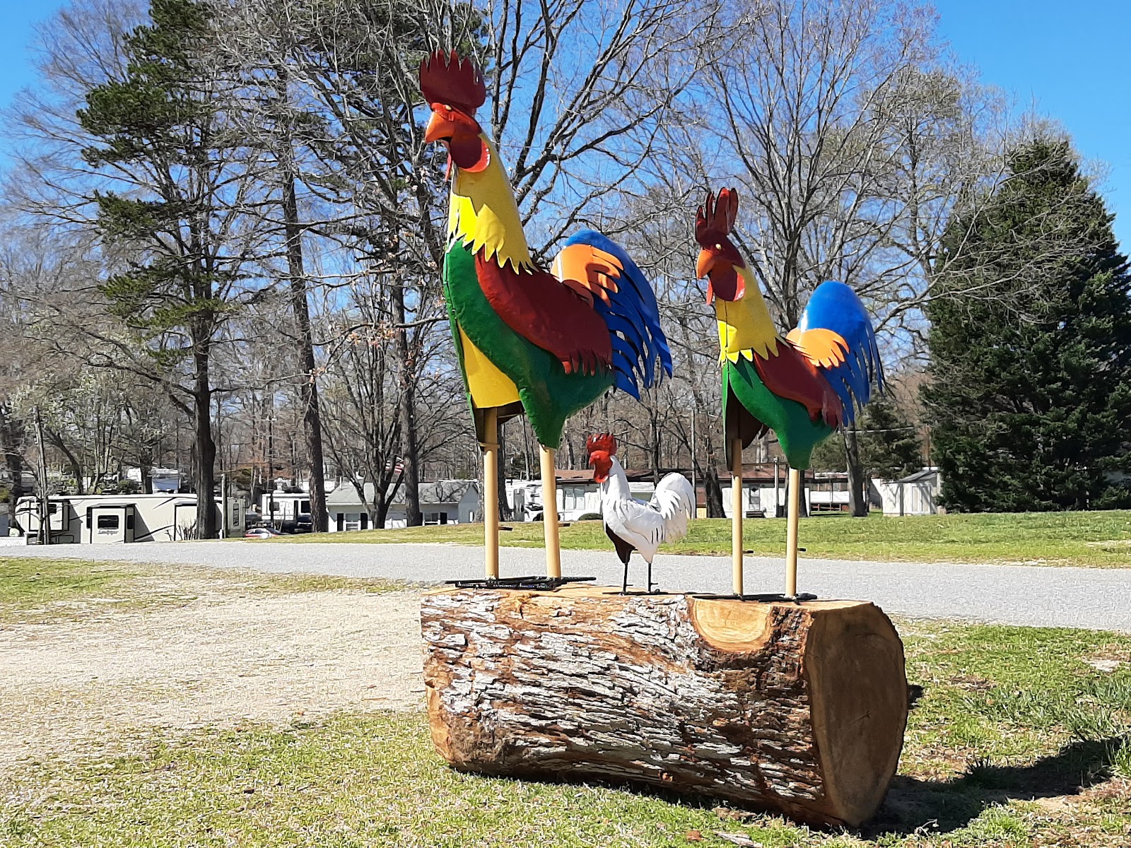 Apollo RV Park - Pictures, Features & Amenities | RVezy Campgrounds