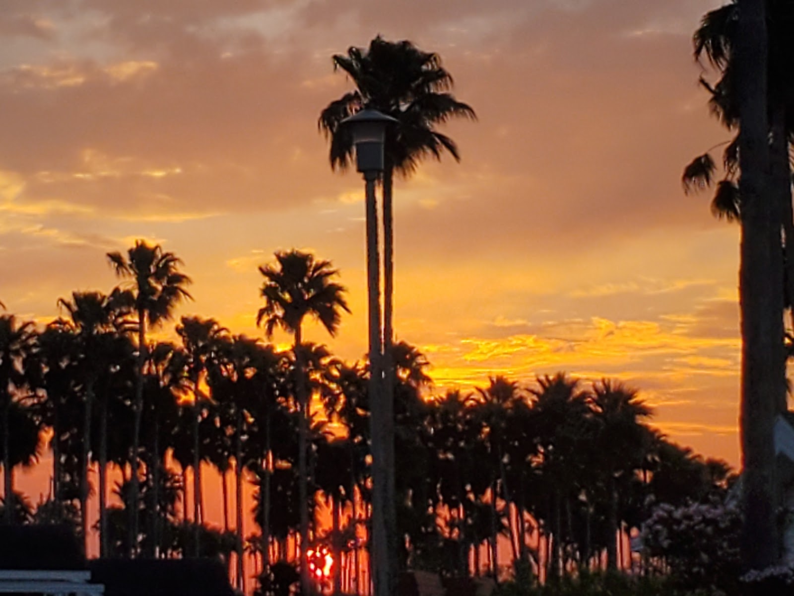 Victoria Palms RV Resort - Pictures, Features & Amenities | RVezy ...