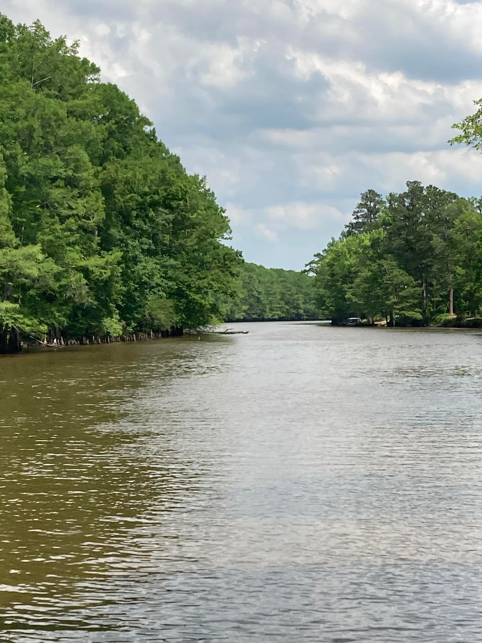 Backwater Jacks RV & Cabins - Pictures, Features & Amenities | RVezy ...