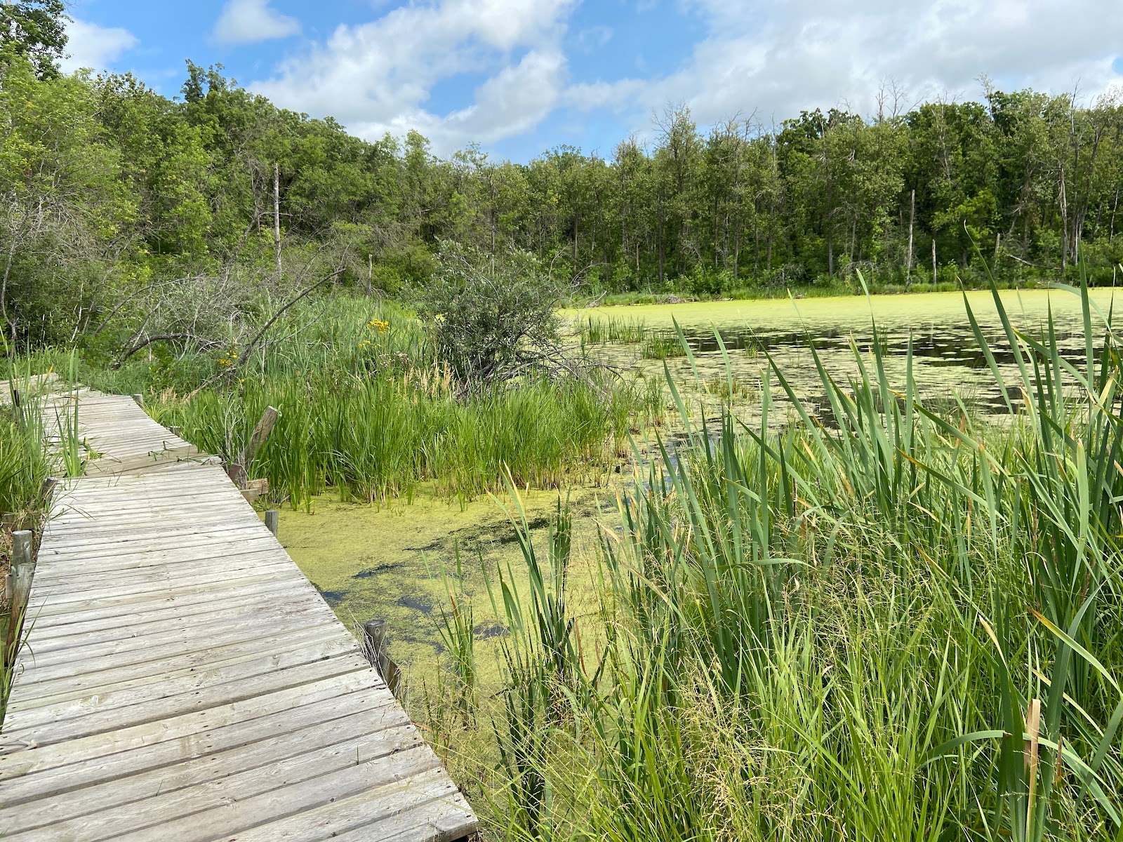 Adam - Turtle Mountain Provincial Park - Pictures, Features & Amenities ...