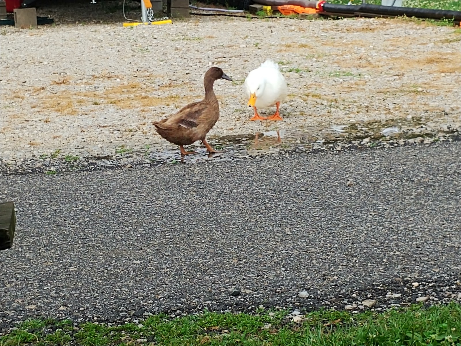 Old Mill Run Park - Pictures, Features & Amenities | RVezy Campgrounds