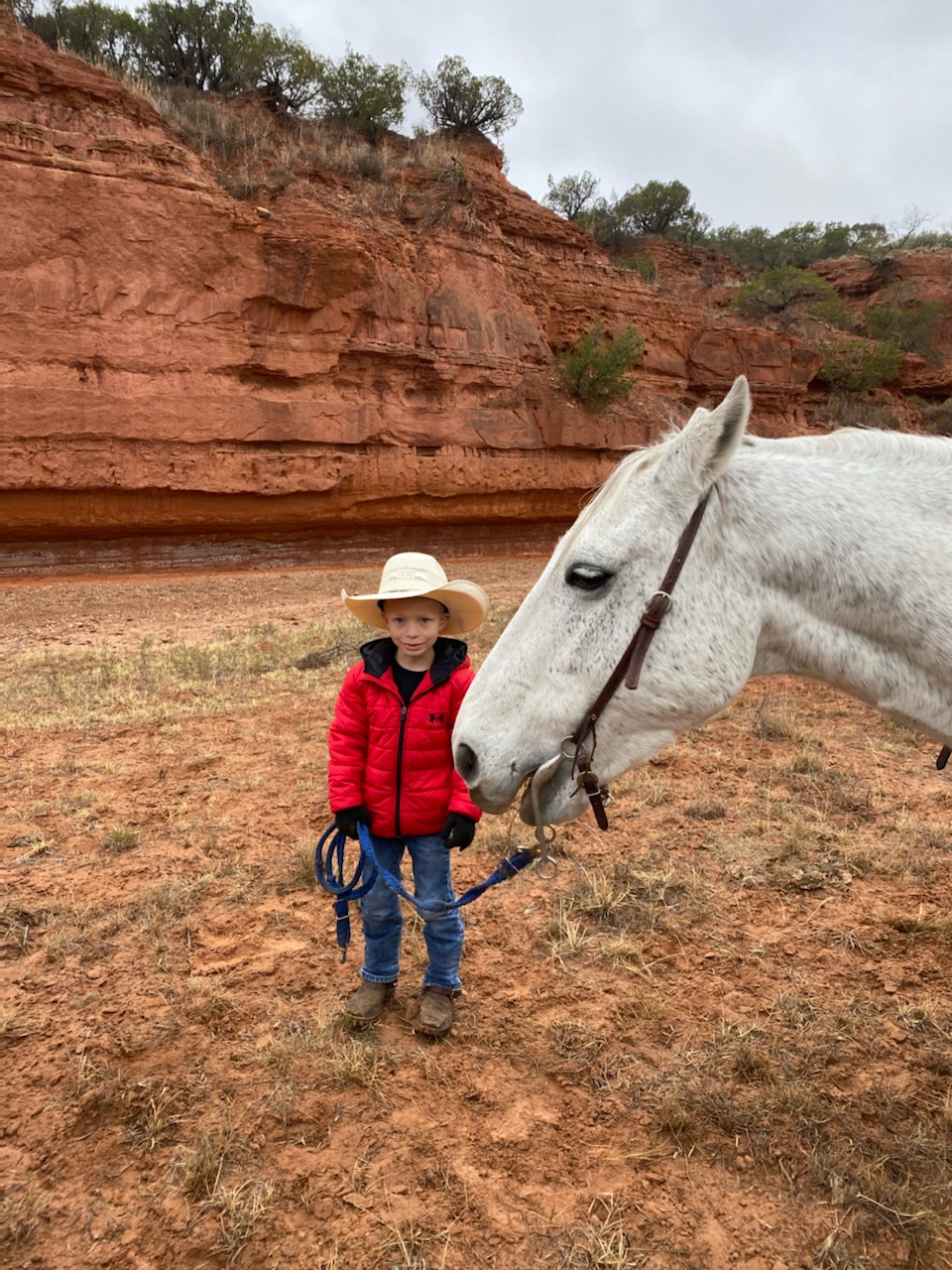 Pole Canyon Ranch - Pictures, Features & Amenities | RVezy Campgrounds
