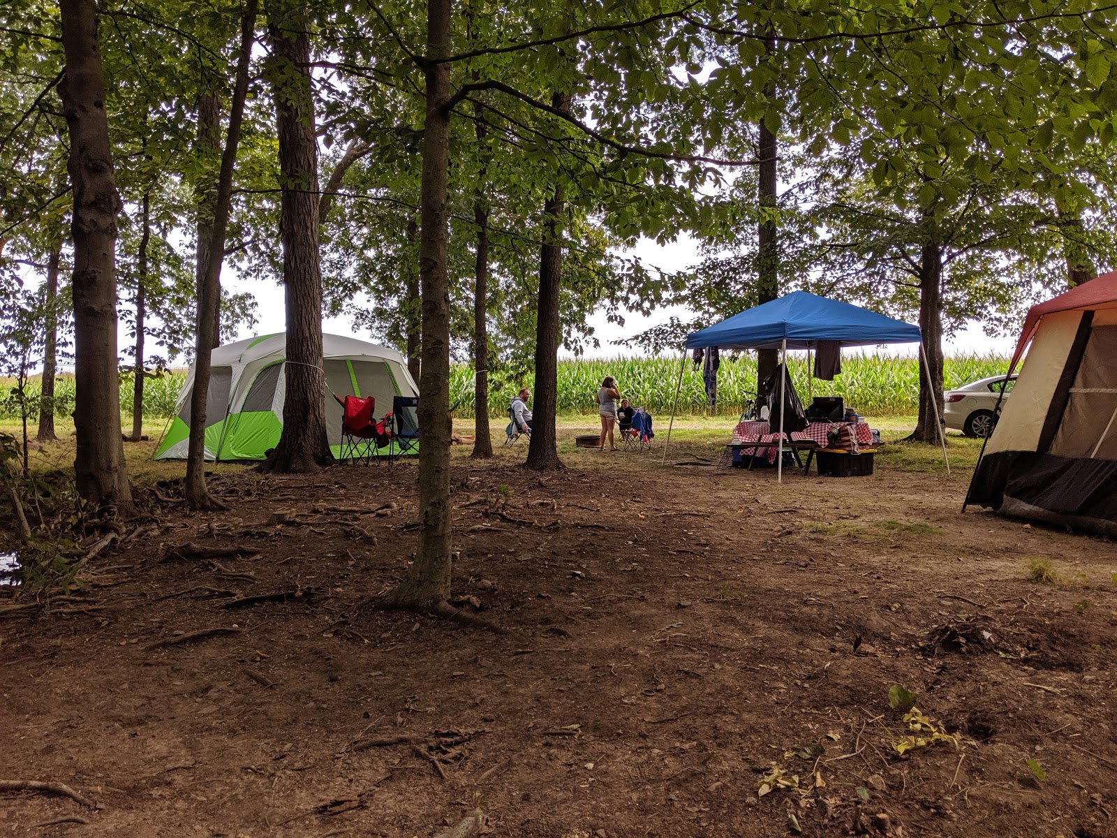 Quaker Woods Campground - Pictures, Features & Amenities | RVezy ...