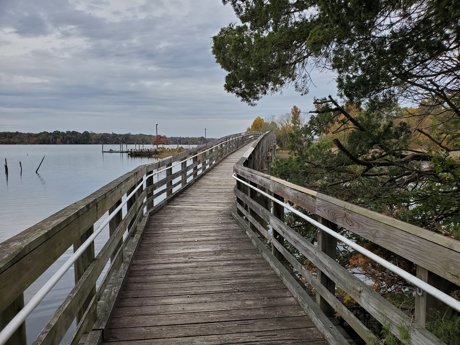 Smallwood State Park - Pictures, Features & Amenities | RVezy Campgrounds