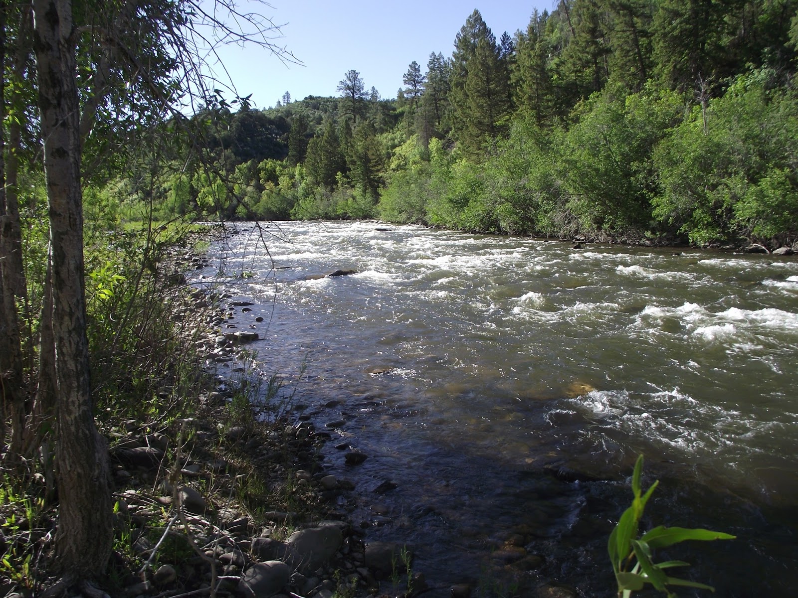 Dolores River RV Resort - Pictures, Features & Amenities | RVezy ...