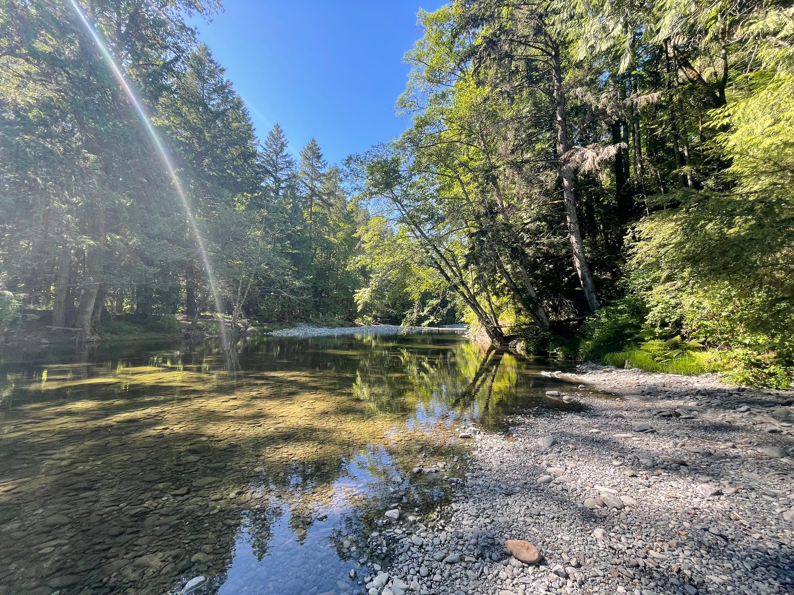 Chemainus River Campground - Pictures, Features & Amenities | RVezy ...