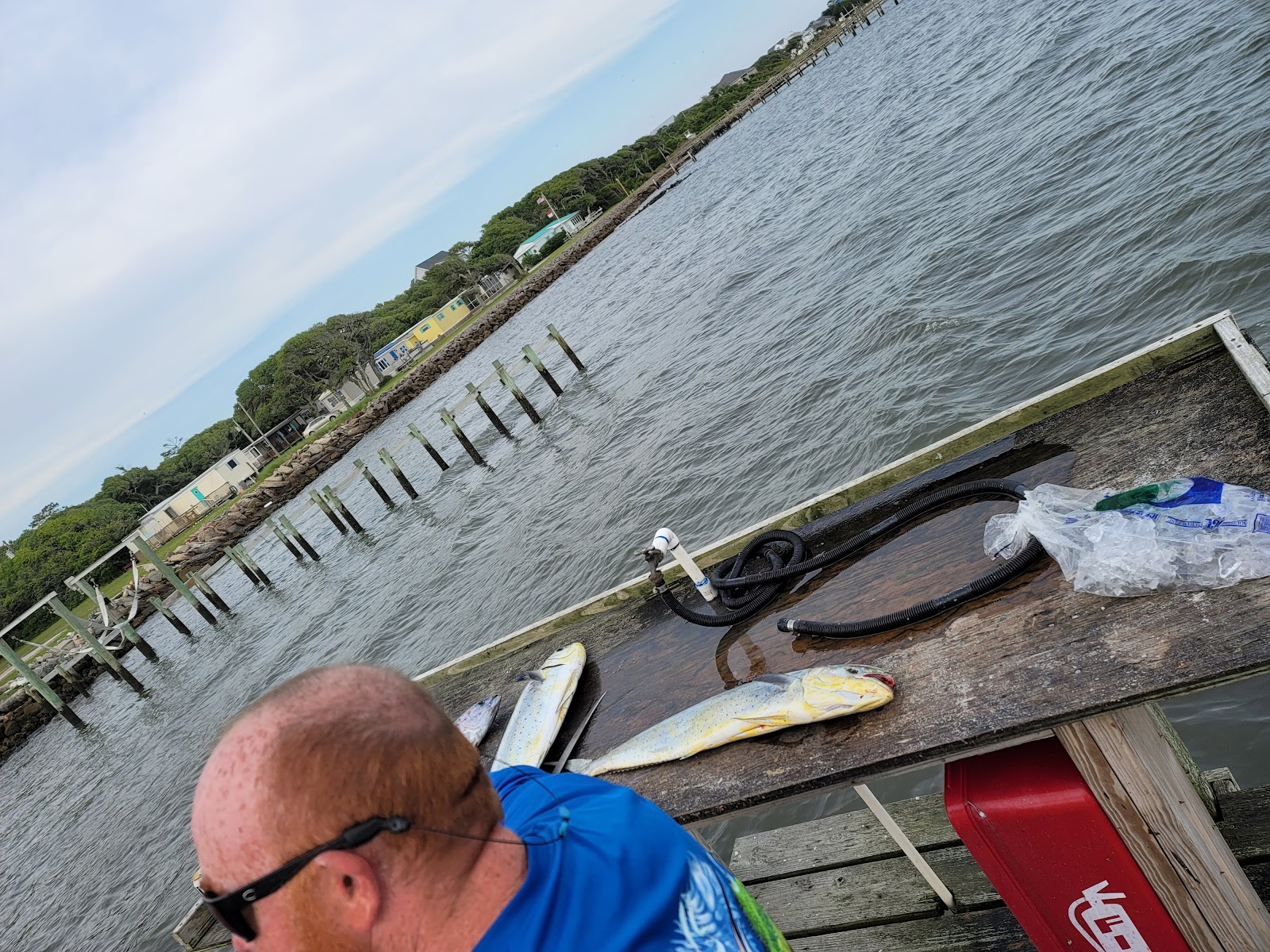 Cape Pointe Marina - Pictures, Features & Amenities | RVezy Campgrounds