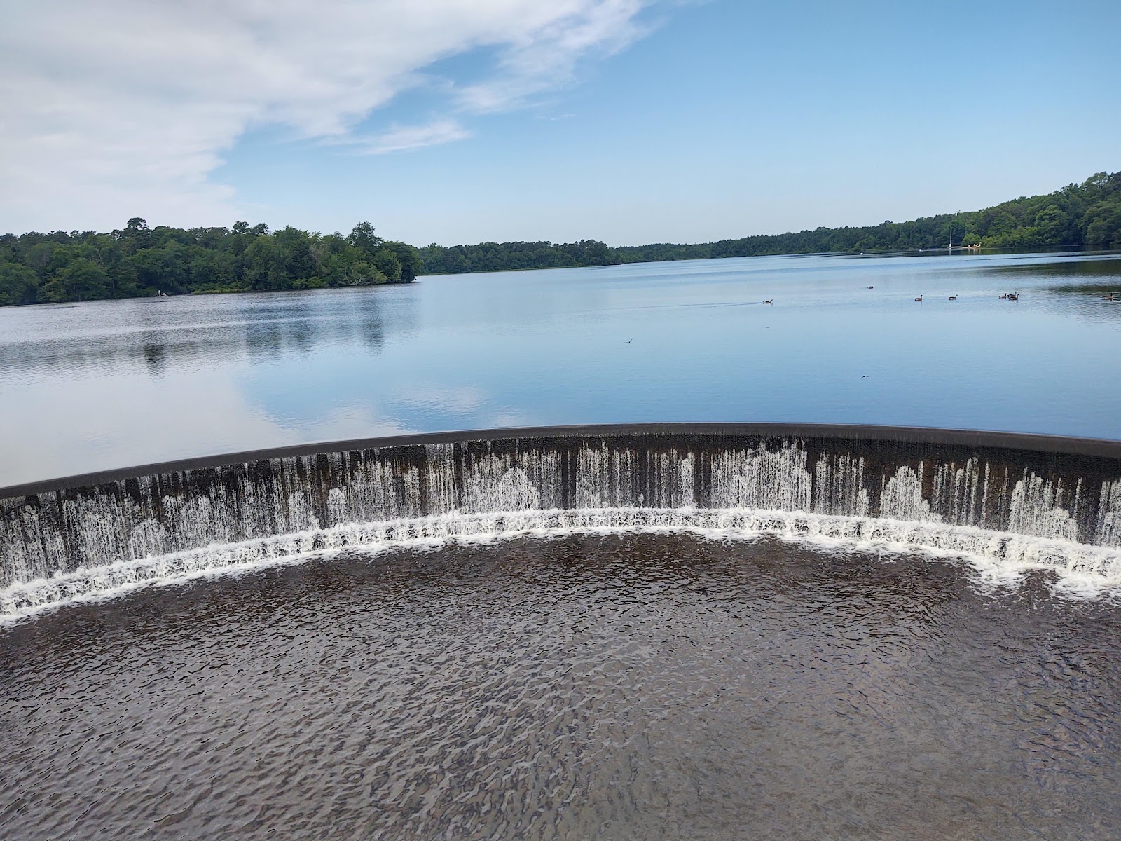 Parvin State Park - Pictures, Features & Amenities | RVezy Campgrounds