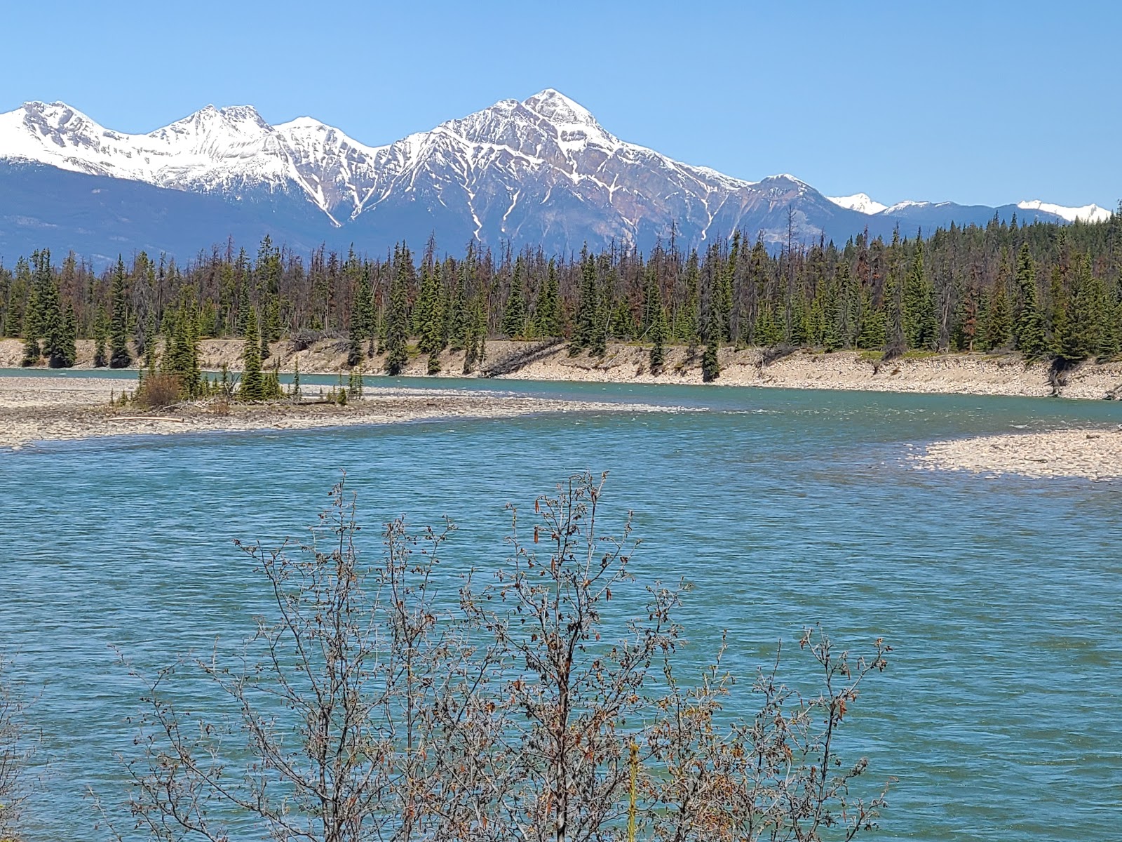 Wabasso Campground - Jasper National Park - Pictures, Features ...