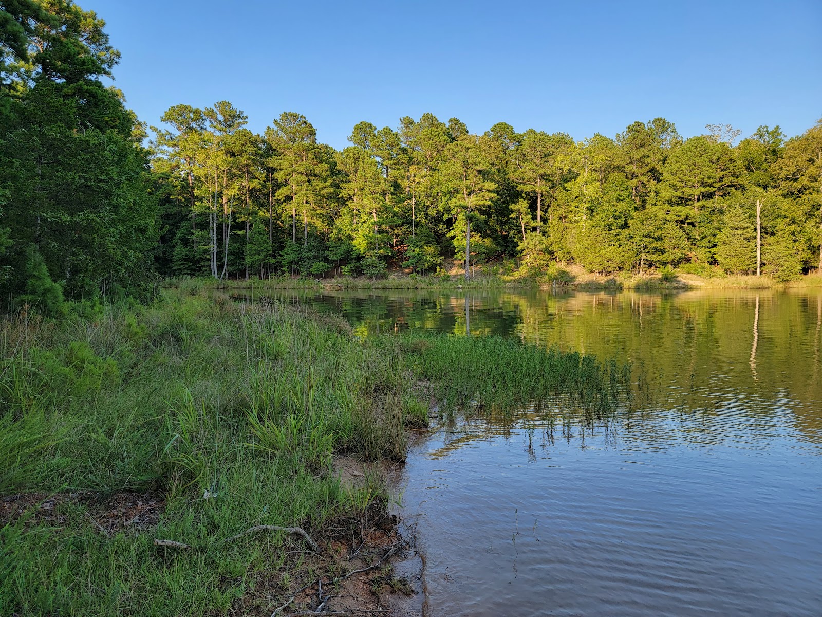 Calhoun Falls State Park - Pictures, Features & Amenities | RVezy ...