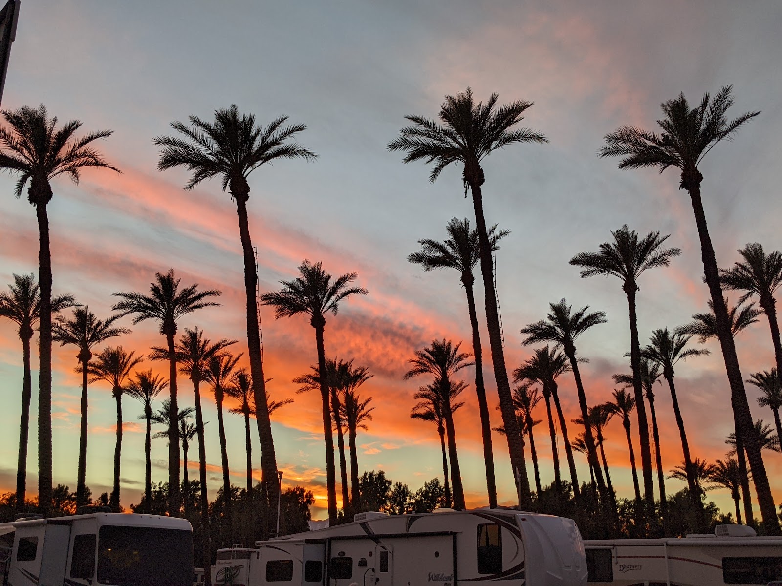 Palm Springs RV Resort - Pictures, Features & Amenities | RVezy Campgrounds