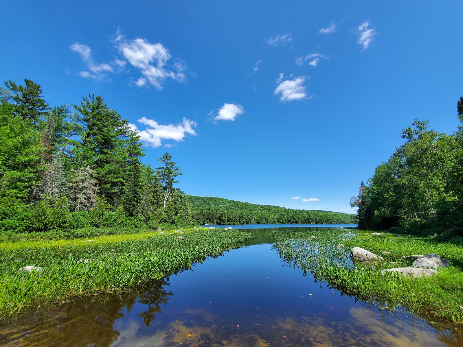 Ricker Pond State Park - Photos, caractéristiques et commodités | Campings RVezy