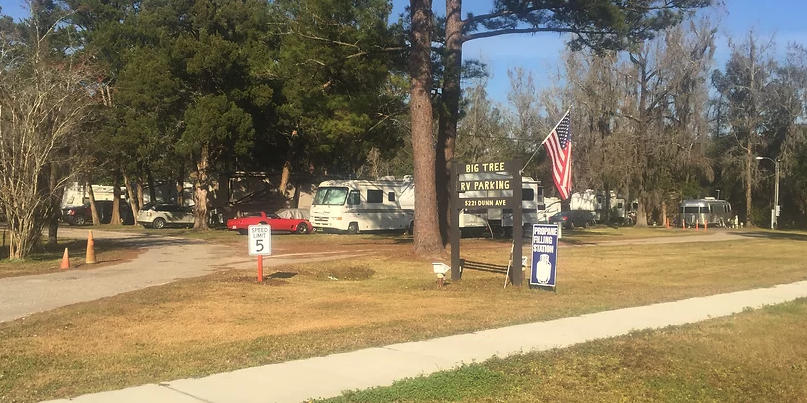 Big Tree RV Park - Pictures, Features & Amenities | RVezy Campgrounds