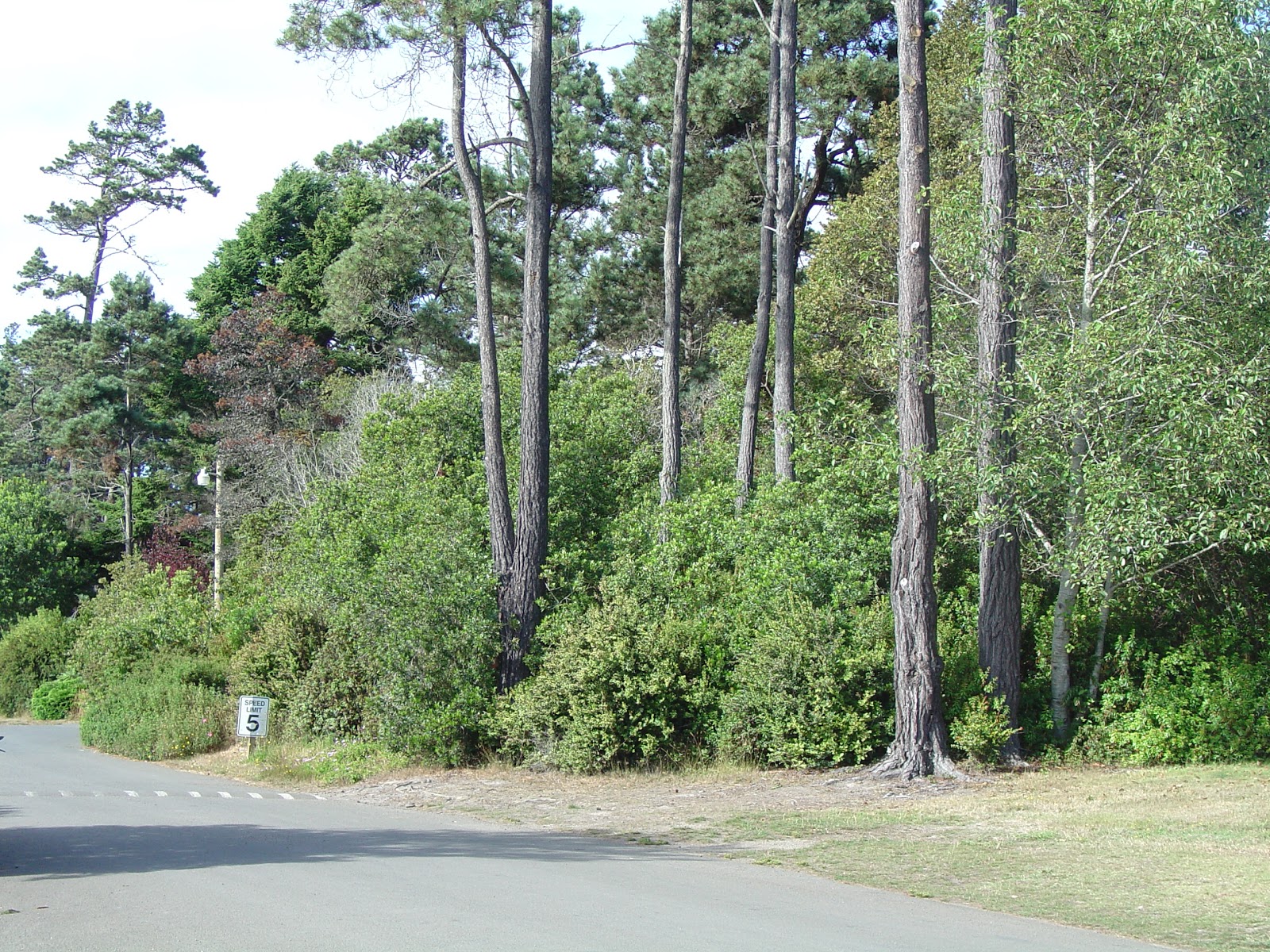 Pomo RV Park and Campground - Pictures, Features & Amenities | RVezy ...