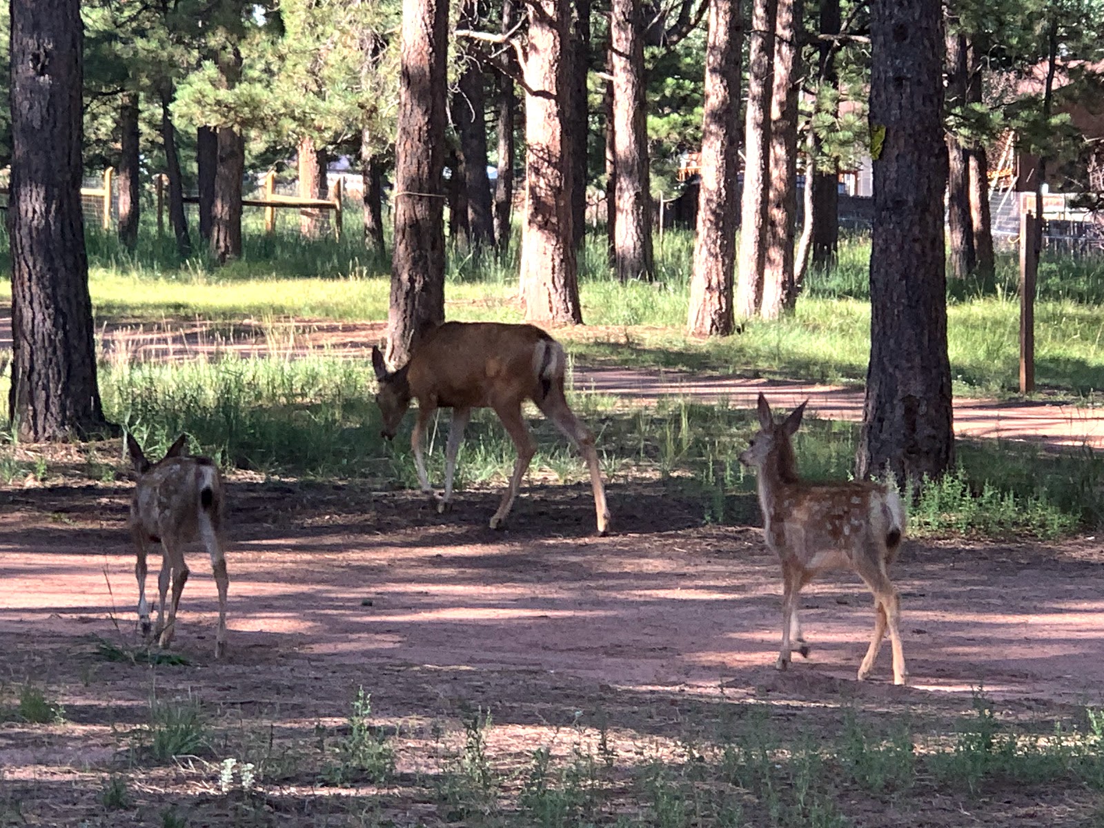 Diamond Campgrounds - Pictures, Features & Amenities | RVezy Campgrounds