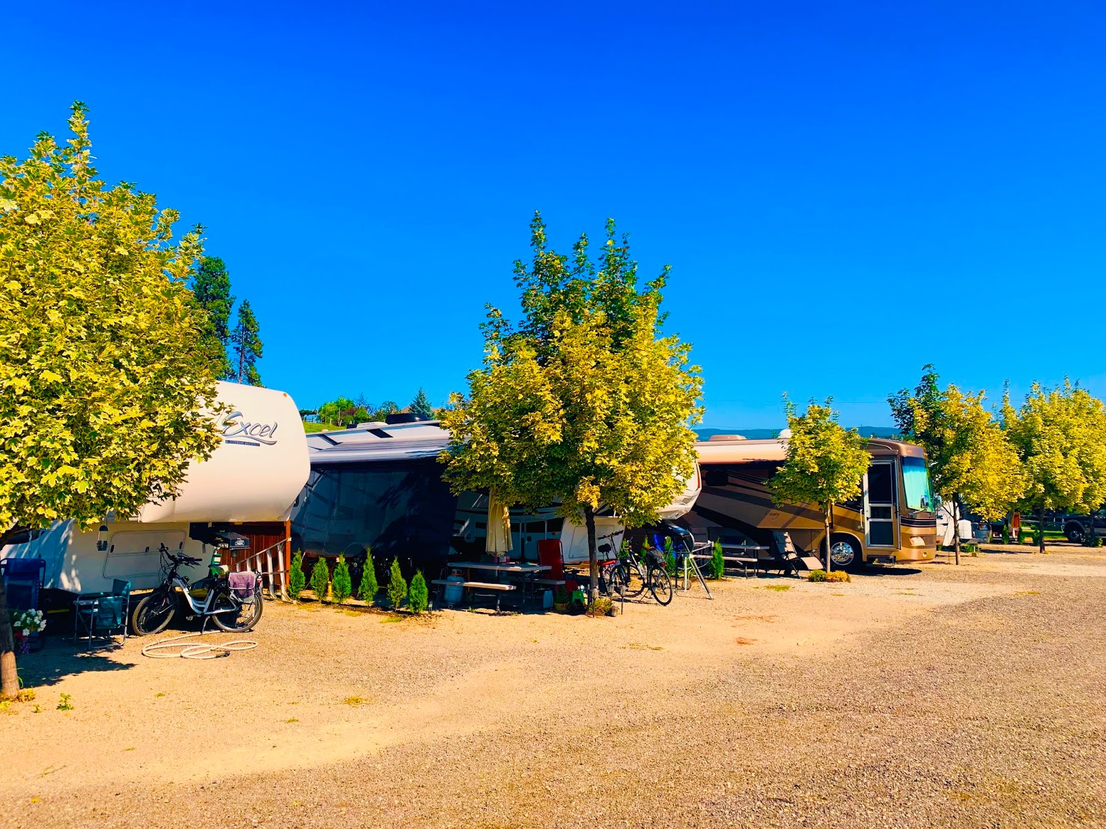 Scenic View RV Park - Pictures, Features & Amenities | RVezy Campgrounds