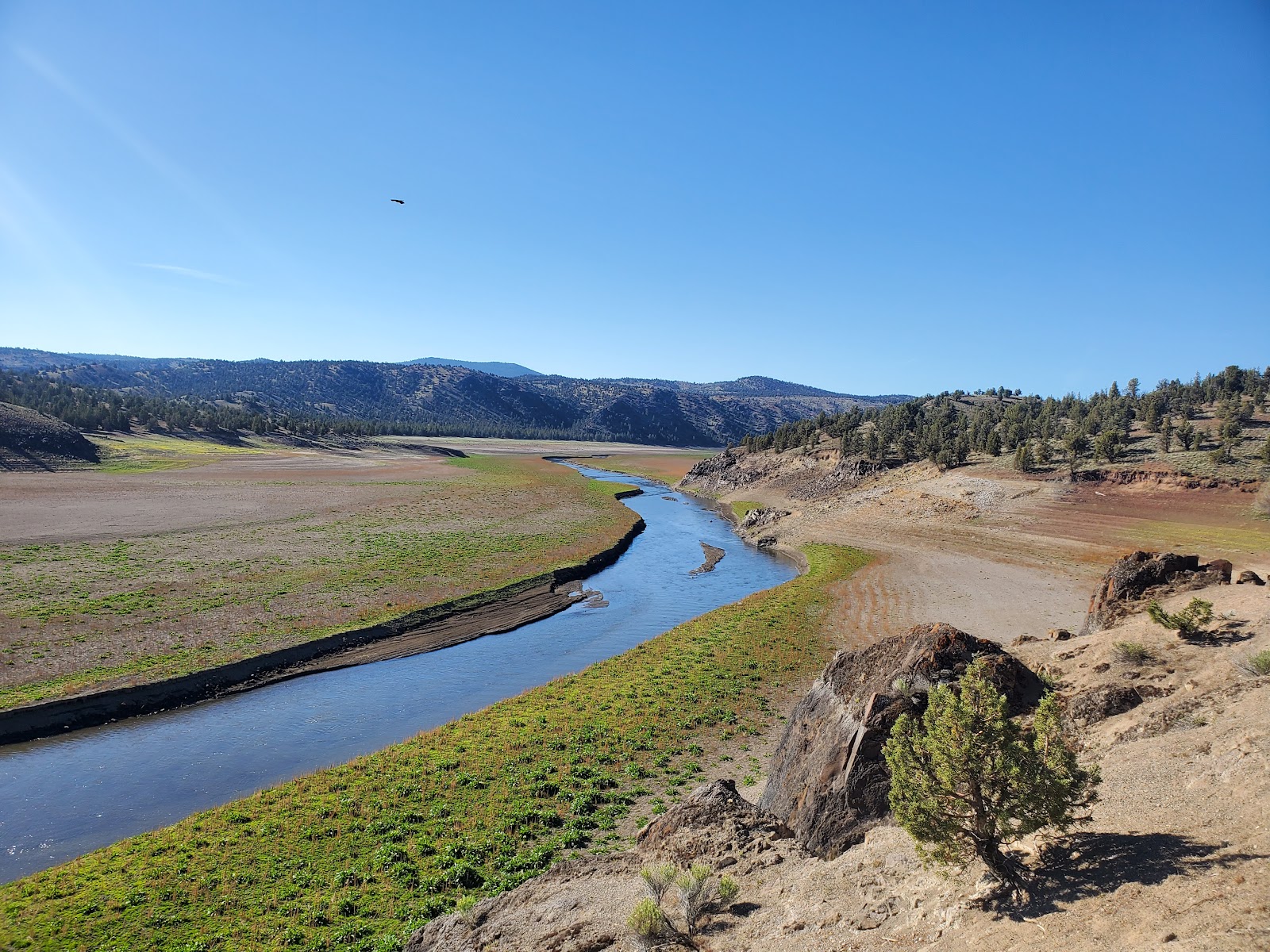 Jasper Point - Prineville Reservoir State Park - Pictures, Features & Amenities | RVezy Campgrounds