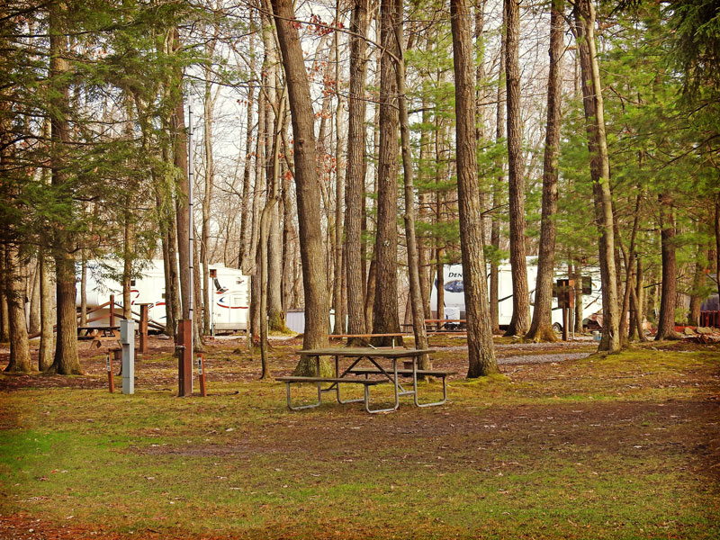 Campers Paradise Campground and Cabins - Pictures, Features & Amenities ...