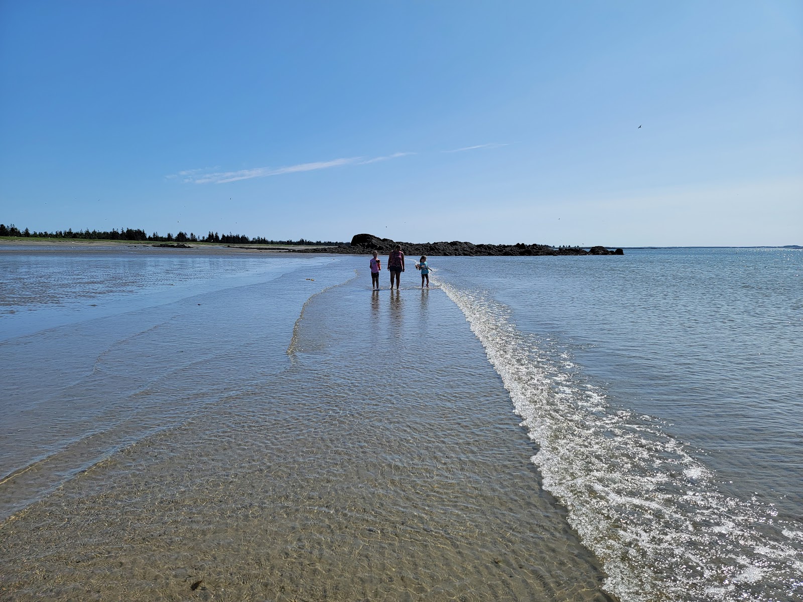 Anchorage Provincial Park and Campground - Pictures, Features ...