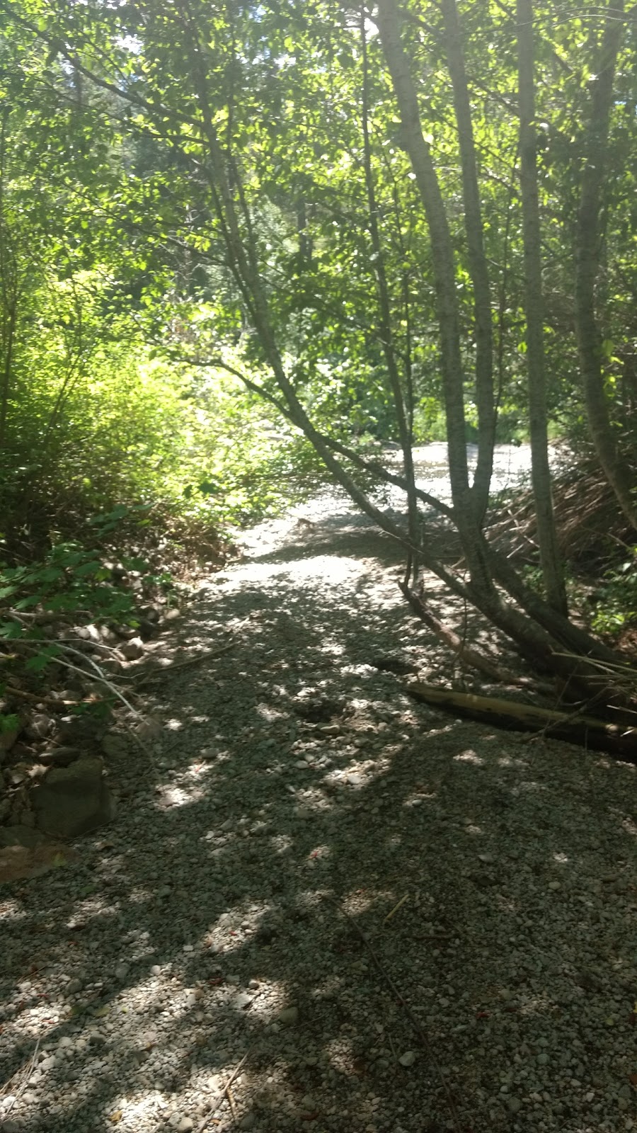 21 Mile Creek Campground - Pictures, Features & Amenities | RVezy ...